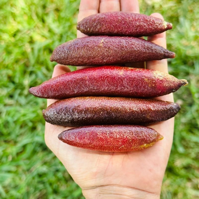 LIMAO CAVIAR E CO - Limão Caviar Rosa Mix 200g